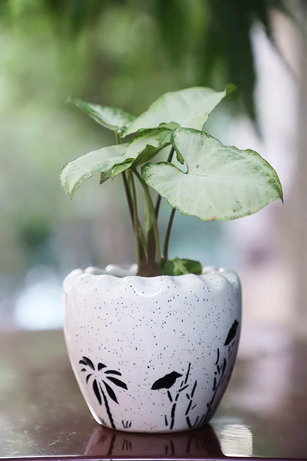 SHRIYAM CRAFTS Ceramic Planter Set for Home, Planters for Indoor ...
