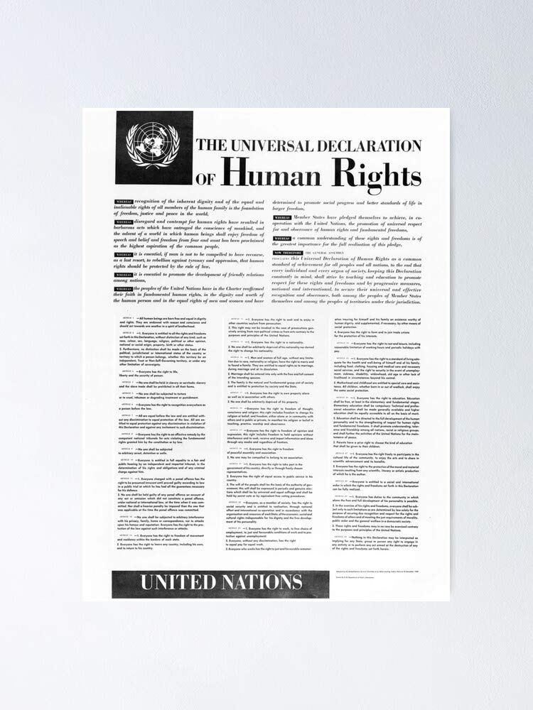 Universal Declaration Of Human Rights Poster