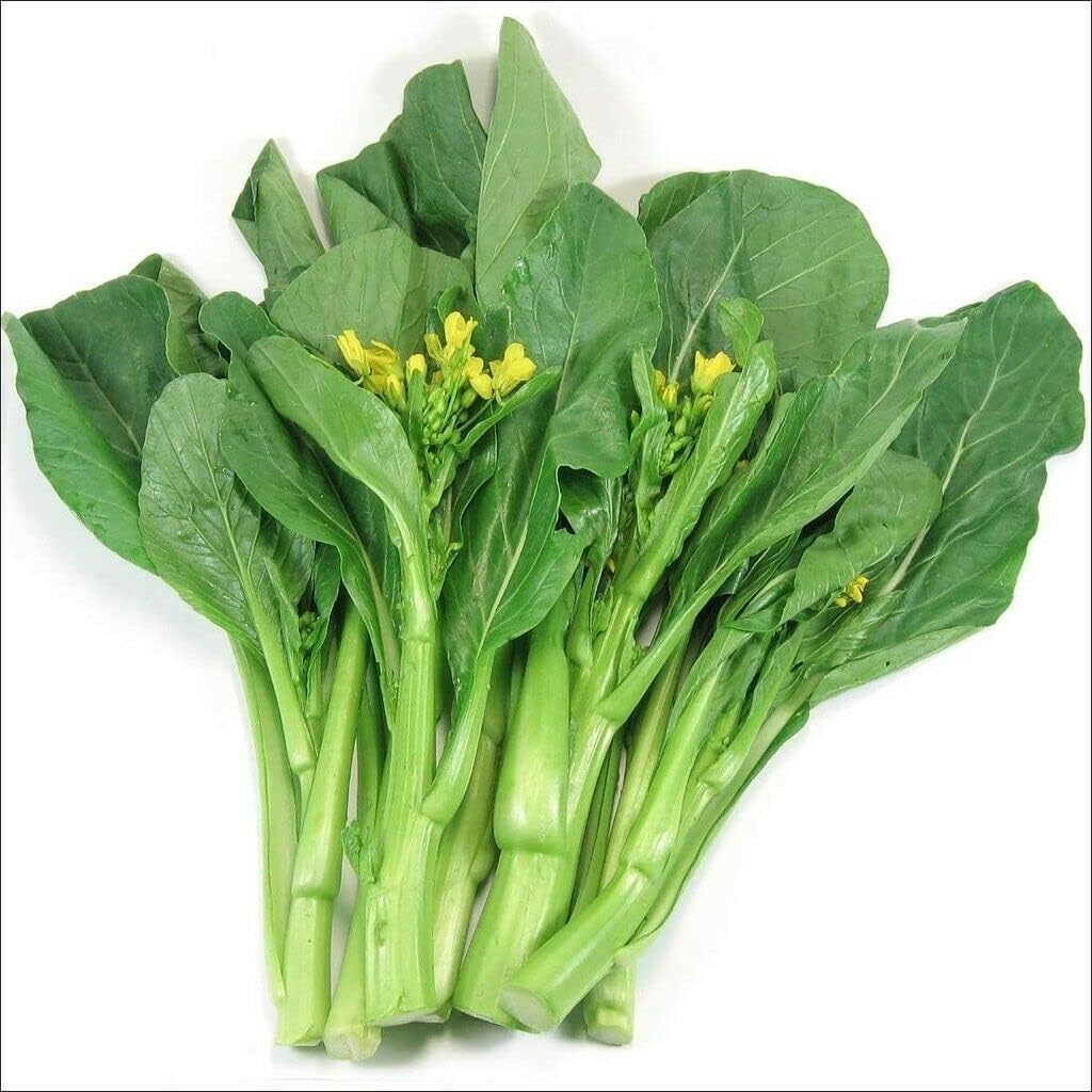 Amazon.com : Chinese Asian Vegetable Seeds BAU-Sin Chinese Mustard ...