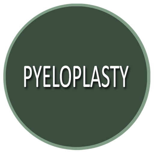 Pyeloplasty - App on Amazon Appstore