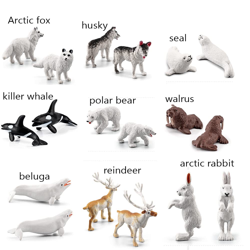 Lista De Animales De La Tundra ártica Tundra | PPT