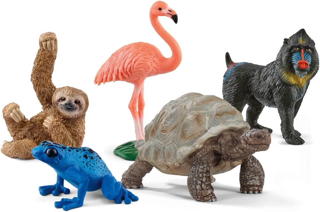 Amazon.com: Schleich Wild Life - 5PC Exotic Animal Starter Playset ...