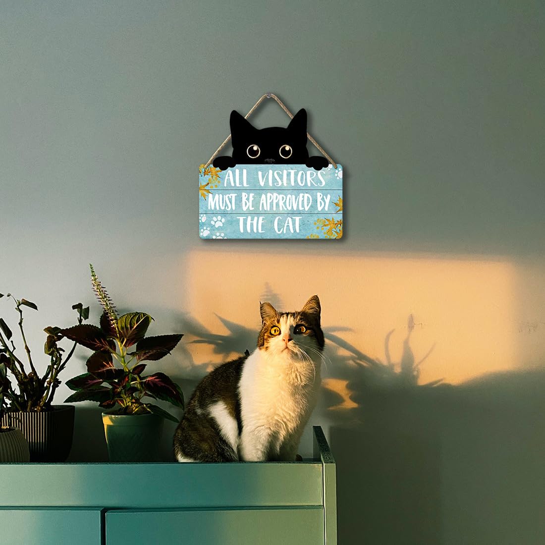 Cat Funny Wood Signs Cat Wood Sign Cat Welcome Wall Hanging Decor