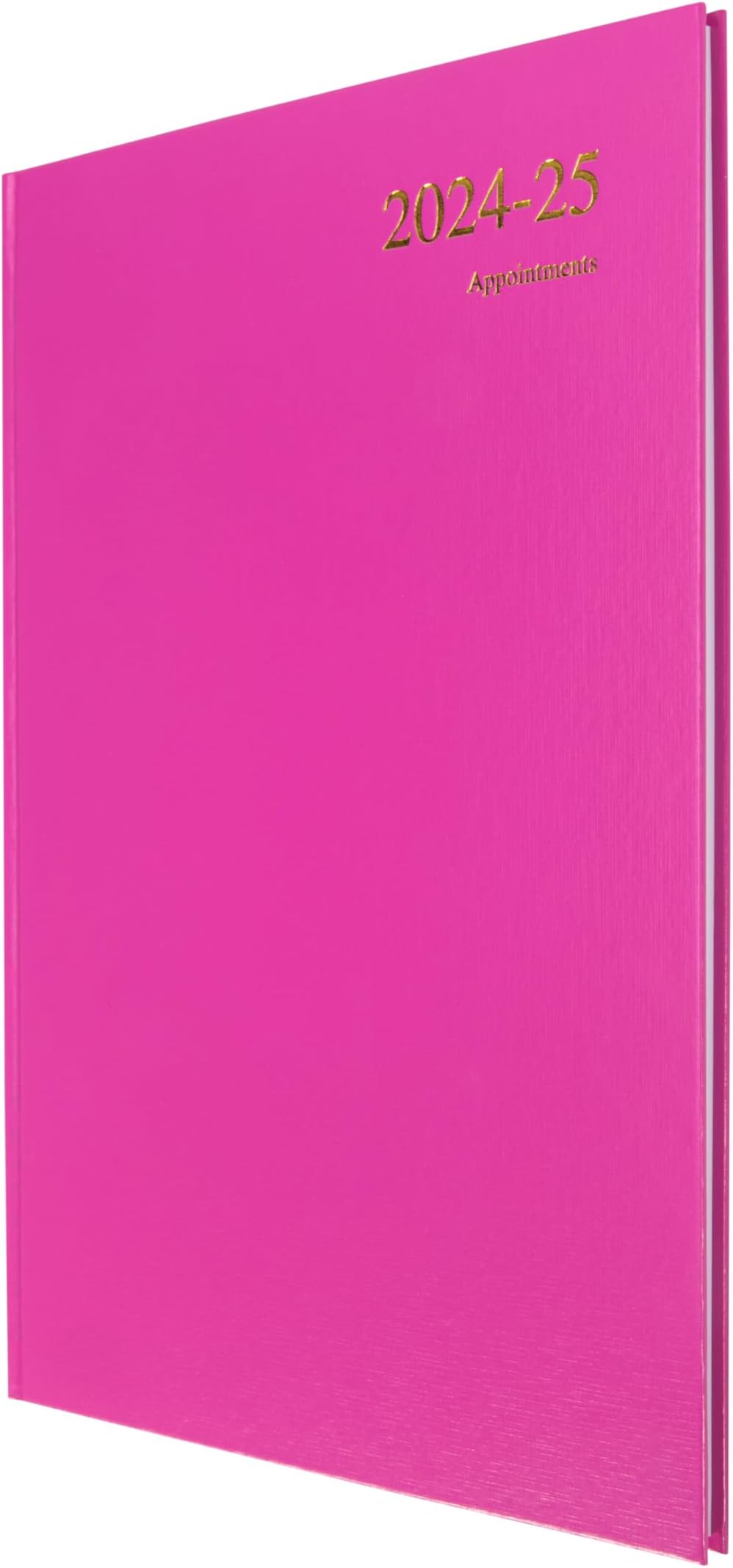 2024-2025 A4 Week TO View Mid Year Academic Diary Student Teacher ...