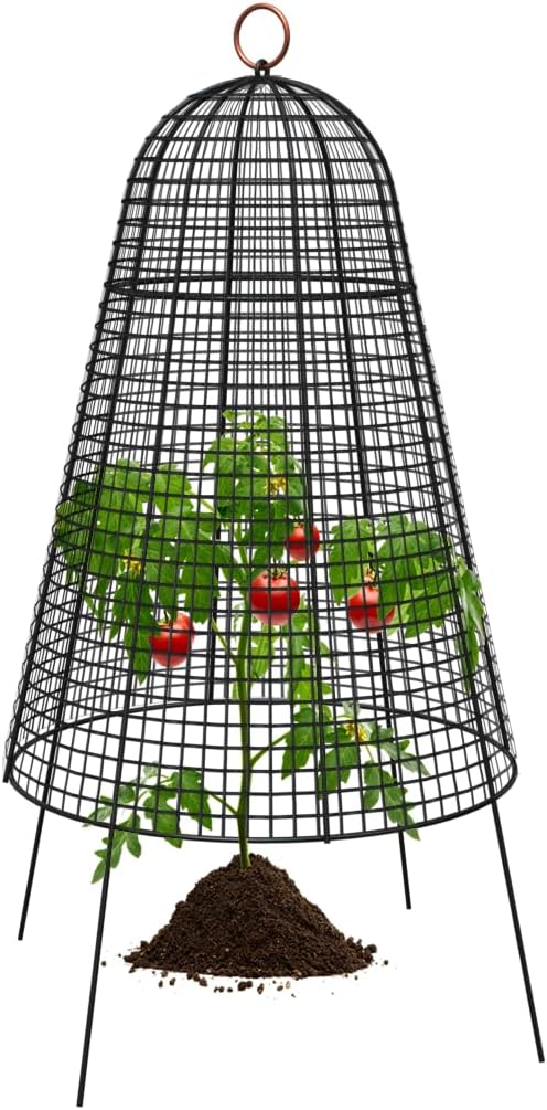 GardenSkill Bamboo Bell Cloche - Garden Plant Protection Cover for ...