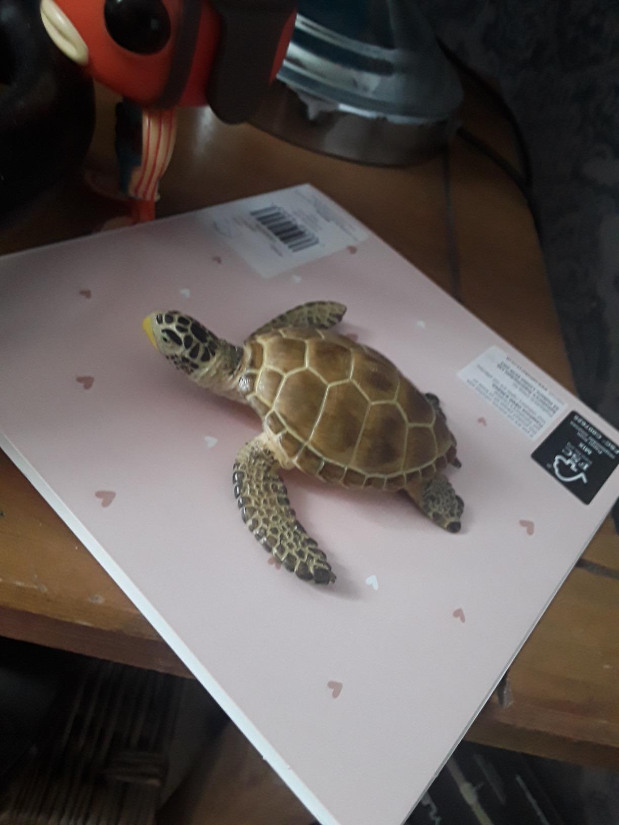 Loggerhead Turtle : Amazon.co.uk: Toys & Games