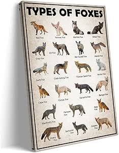 Fox Wall Art Canvas Framed Vintage Fox Knowledge Poster Animal Painting ...