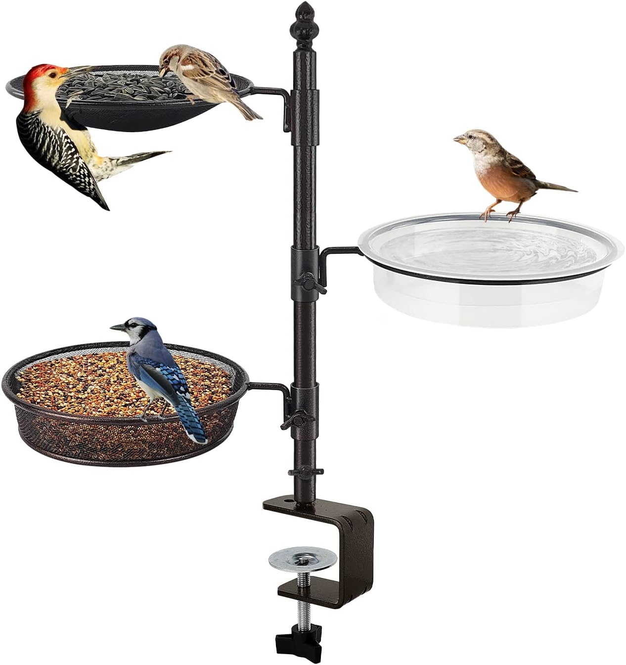 Amazon.com : AOXEXOB Bird Feeder Tree Mounted, 8" in Diameter Bird Bath ...