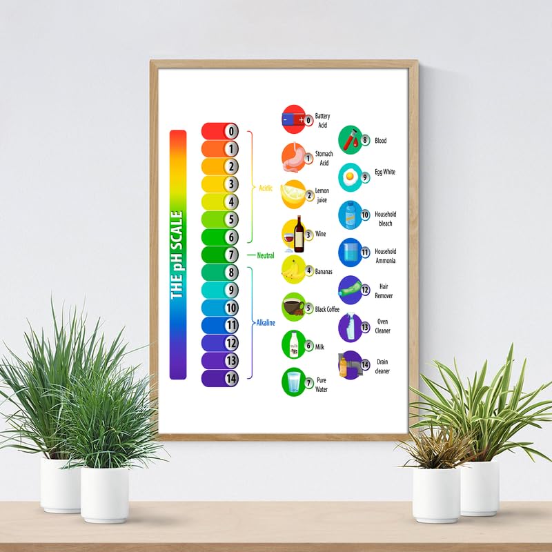 Neutral Science Examples PH Definition And Equation In Chemistry