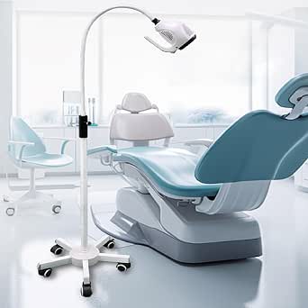 Amazon.com: GMBAYUE Gynecological Examination Light Medical Exam Light ...