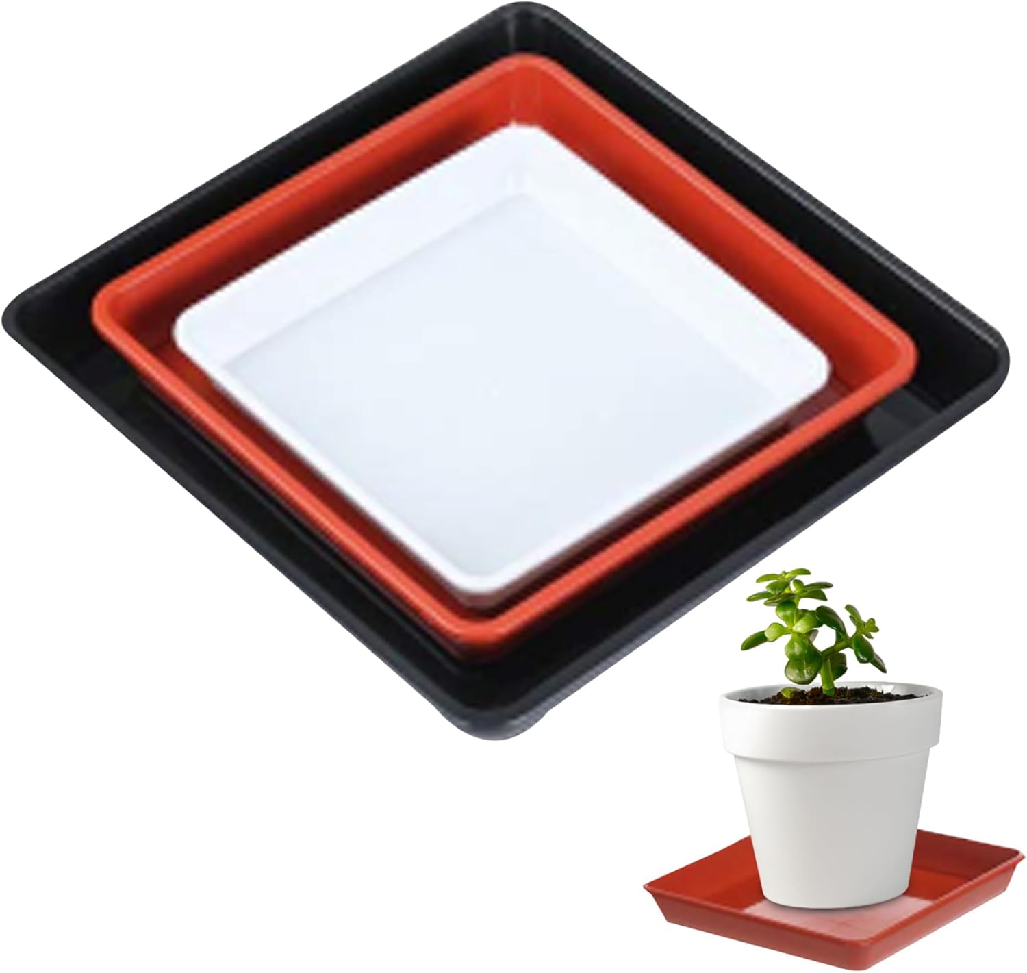 Amazon.com : OnIUeZky 3PCS Squre Plant Saucer 5, 10, 12 inch Square ...