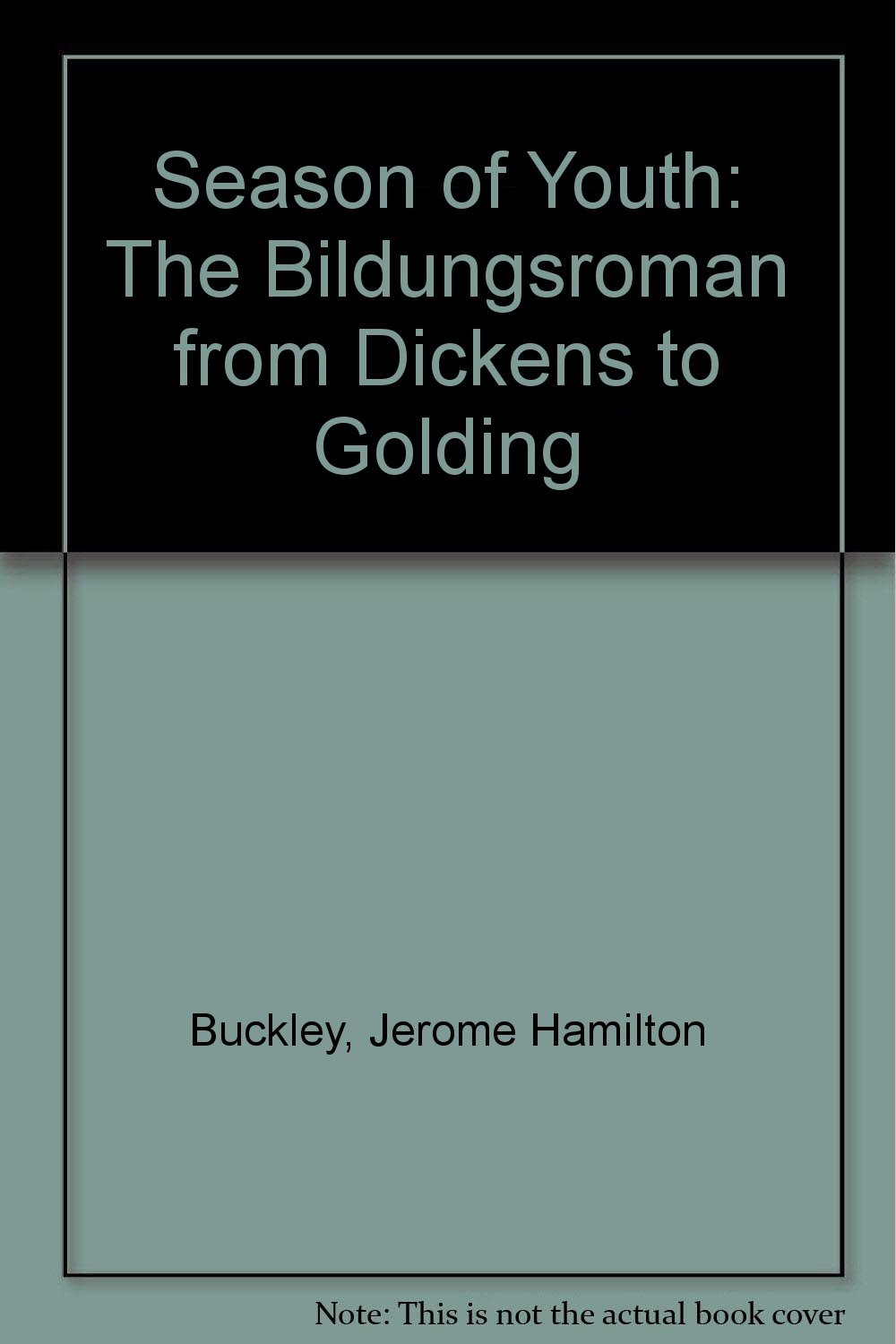 Season of Youth: The Bildungsroman from Dickens to Golding: Buckley ...