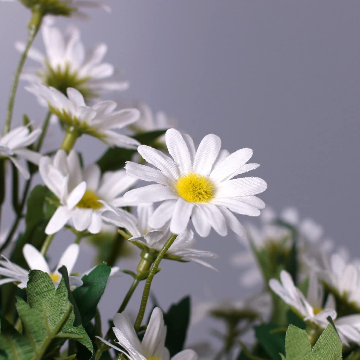 Witte Margriet Bloemenboeket Decoflorall.nl Bloemschik En