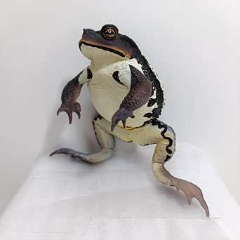 Amazon.co.jp: Nature Technicolor Large Toad Figurine Tawny Capsule Toy ...