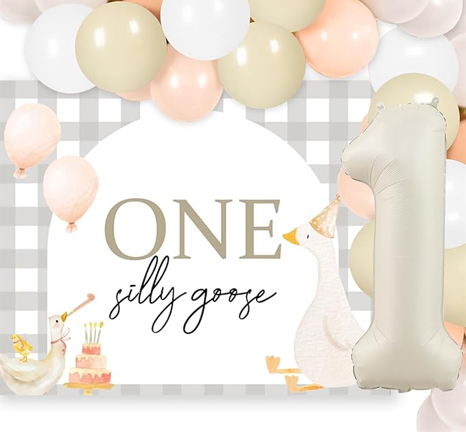 Amazon.com: One Silly Goose 1st Birthday Party Decorations Silly Goose ...