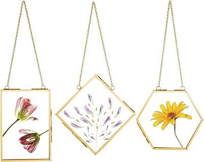 Amazon.com - JUXYES Set of 2 Brass Wall Hanging Photo Frame, Golden ...