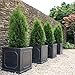 Large Faux Lead Chelsea Planter Fibre-Clay 55cm x 55cm x 55cm Lead ...