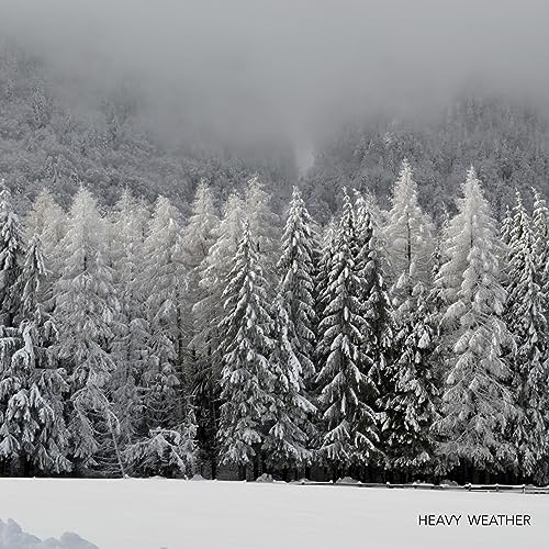Play Heavy Weather by Cho Soon Jong on Amazon Music
