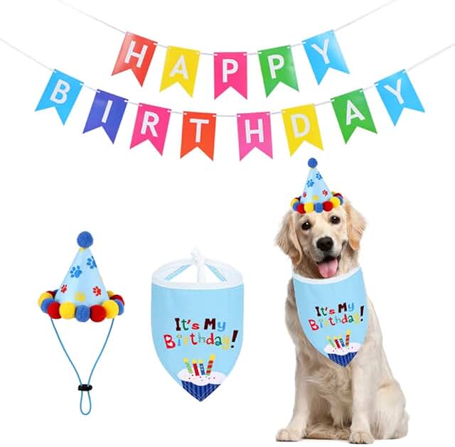 Amazon ca Dog Birthday Party Supplies amazon-ca-dog-birthday-party-supplies