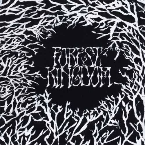 Play Forest Kingdom by Forest Kingdom on Amazon Music