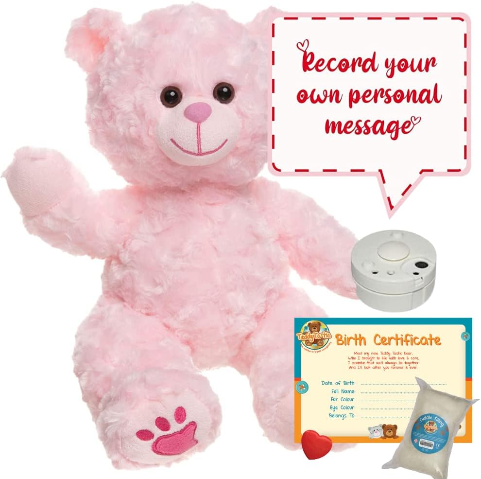 Teddy Tastic Recordable Charm The Light Pink Bear 16" (40cm) Soft Plush ...