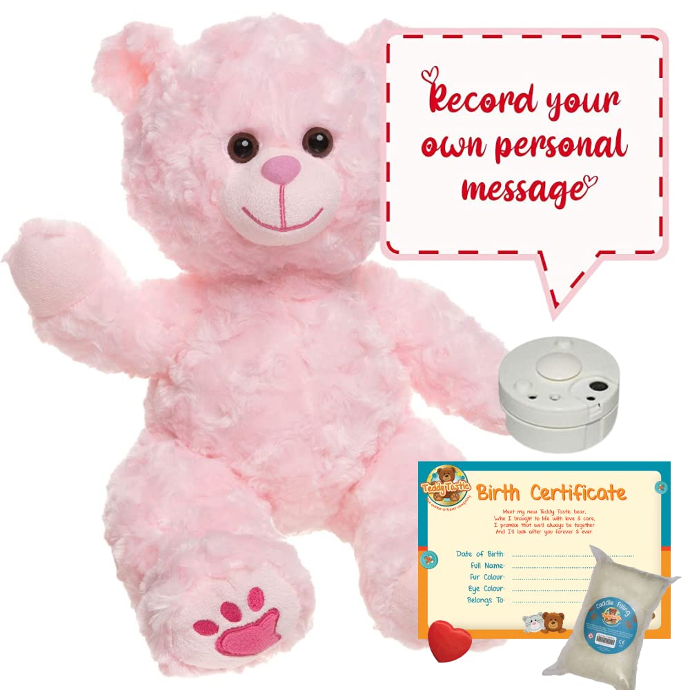 Teddy Tastic Recordable Charm The Light Pink Bear 16" (40cm) Soft Plush ...