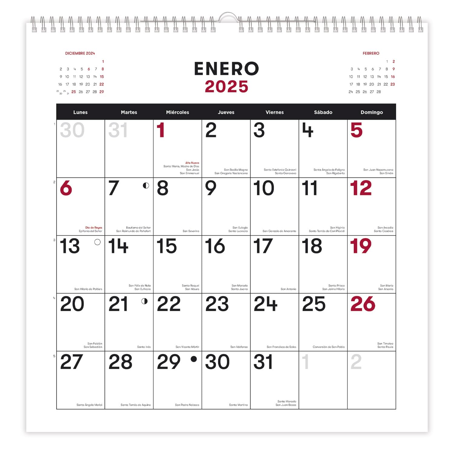 Grupo Erikwall Calendar 2025 12 X 12 Square Calendar 2025 | Desertcart ...