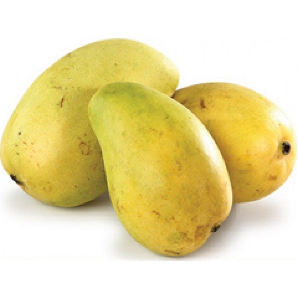 Fresh Produce Mango Langda , 500g : Amazon.in: Grocery & Gourmet Foods