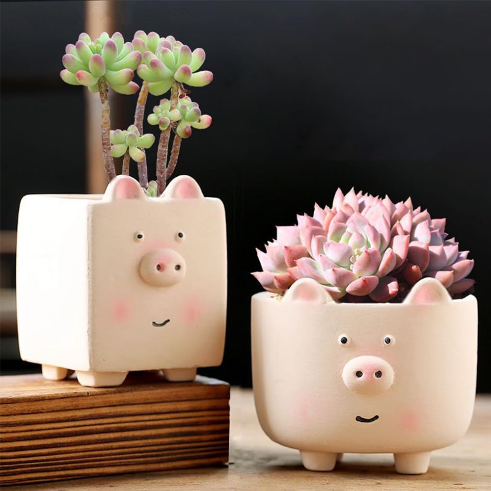 Amazon.com : Koowants 2PCS Small Size Succulent Pig Plant Pot,Animal ...
