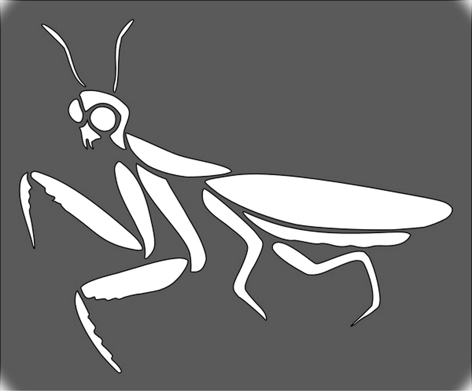 Praying Mantis Clipart Black And White