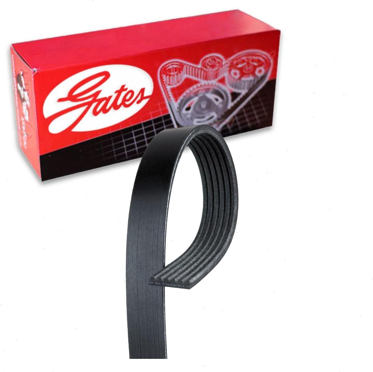 Amazon.com: Mopar 05184647AB BELT SERPENTINE : Automotive