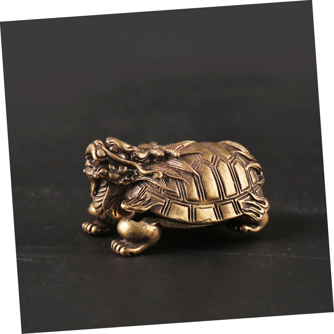 Year of the turtle chinese zodiac 60 photos - Astrologytoyou.com