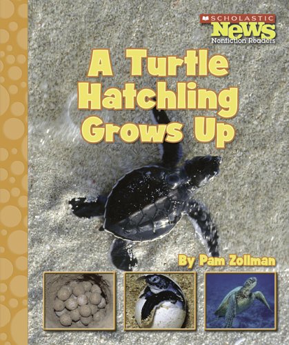 A Turtle Hatchling Grows Up (Scholastic News Nonfiction Readers ...