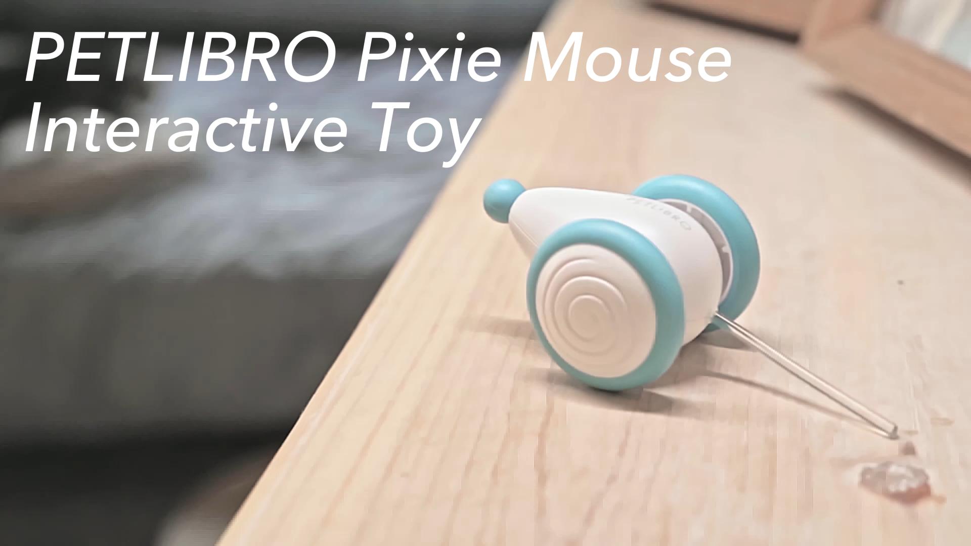Watch Pixie Mouse Interactive Pet Toy on Amazon Live