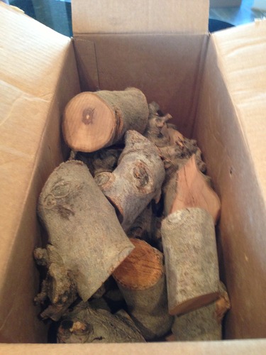 Amazon.com : Meteor 26926 Apple Wood Chunks for Grilling, 10-Pound ...