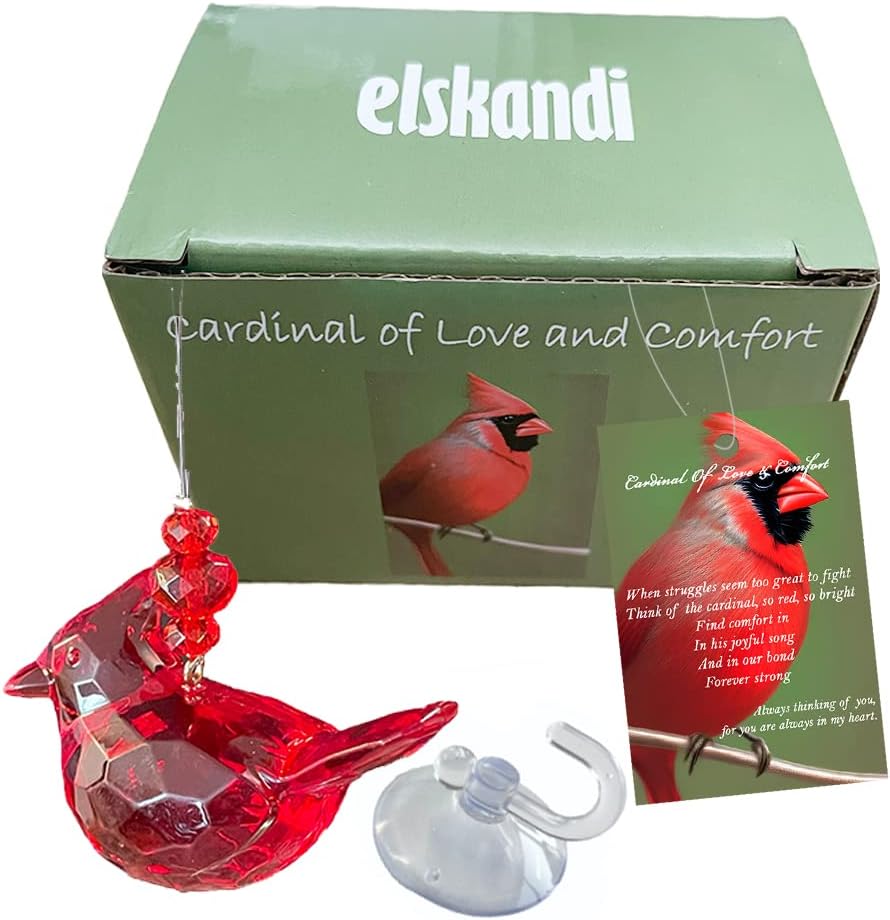 Amazon.com: Cardinal of Love and Comfort - Red Acrylic Cardinal ...