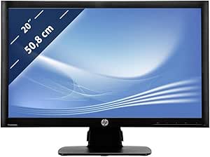 HP ProDisplay P202 20 Monitor, Black: Buy Online at Best Price in Egypt ...