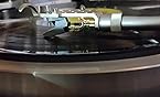 Amazon | ORTOFON OMEGA Omega Cartridge【並行輸入】 | ORTOFON | カートリッジ