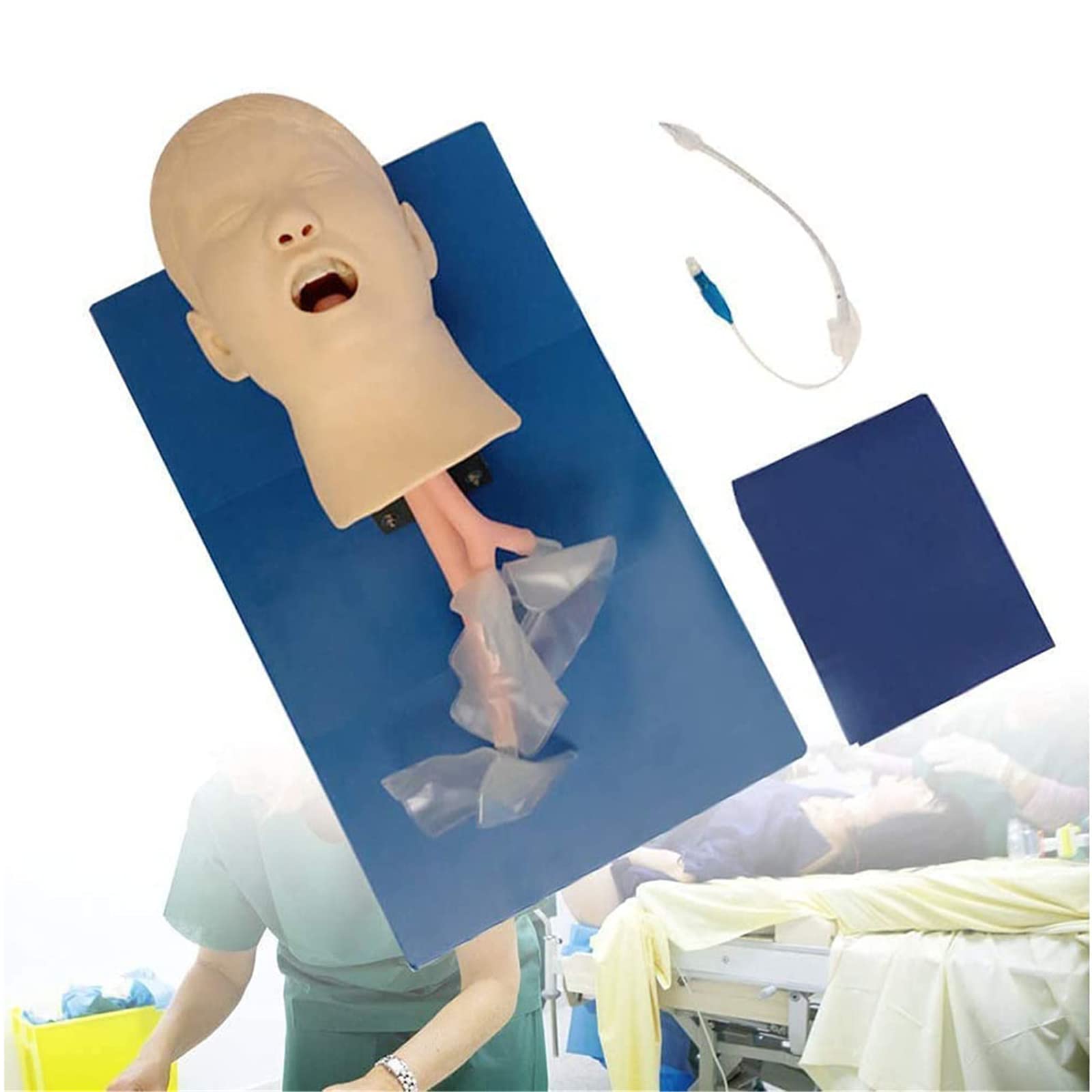 Buy BILXXY Adult Intubation Manikin Model, Airway Management Trainer ...