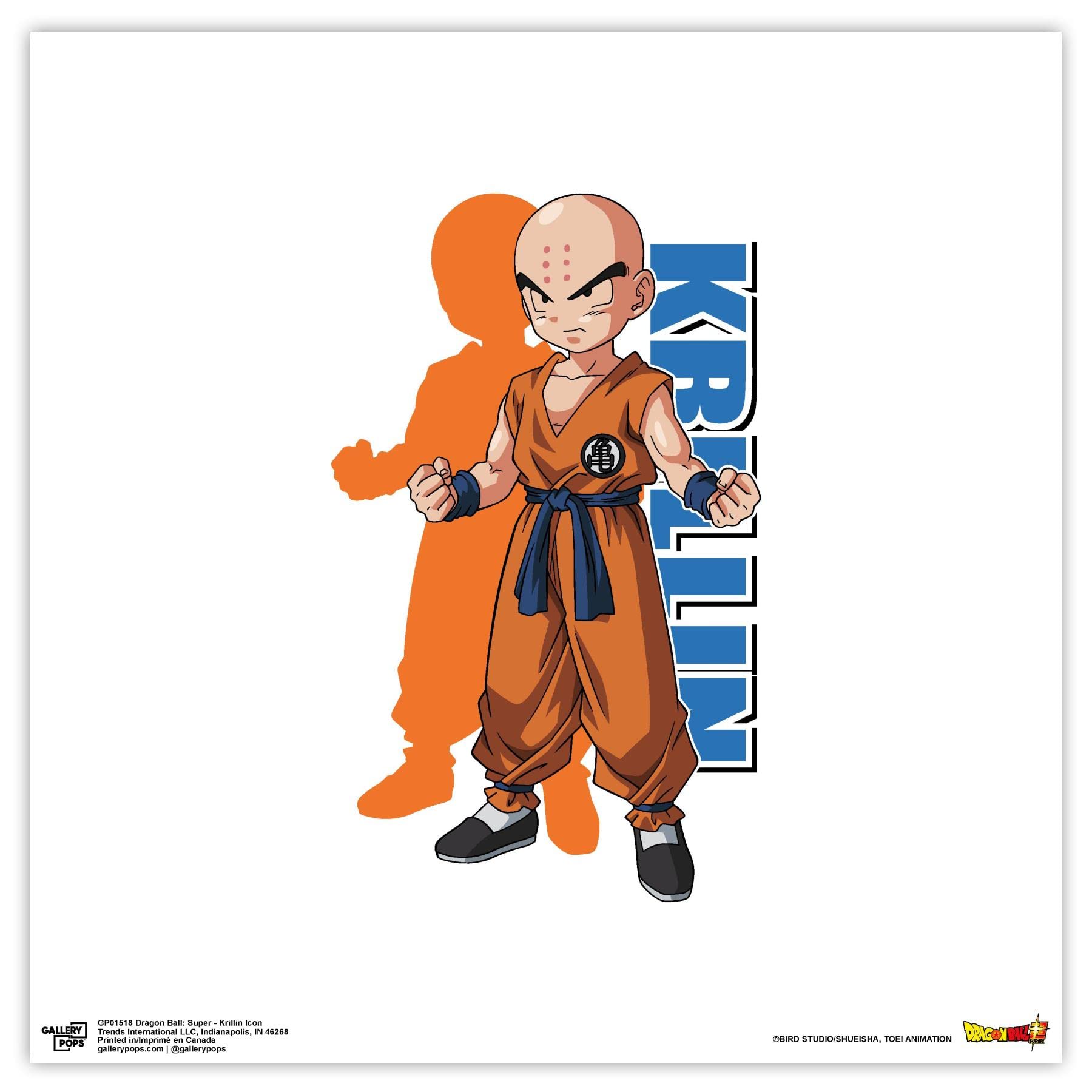 Amazon.com: Trends International Gallery Pops Dragon Ball: Super ...