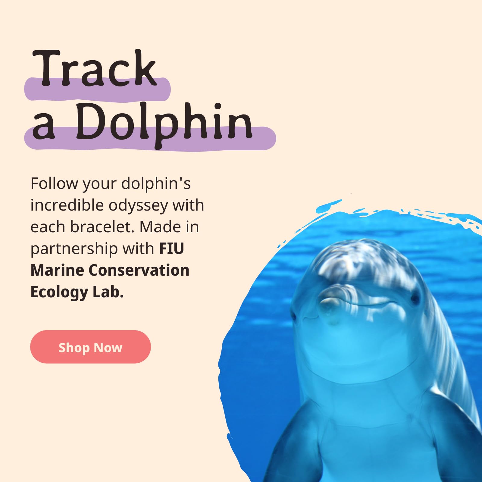 Snapklik.com : Fahlo Dolphin Tracking Bracelet, Elastic, Supports FIU Marine Conservation, One ...