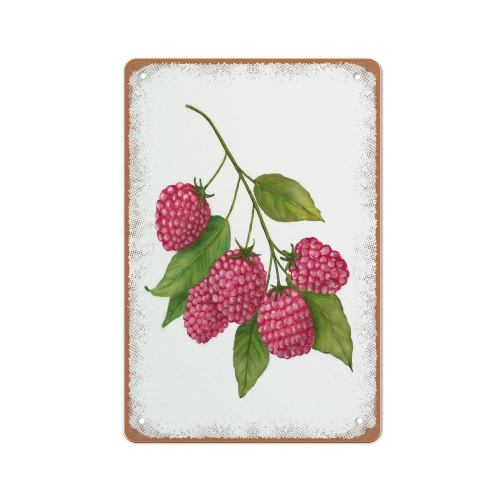Raspberry Illustration Vintage