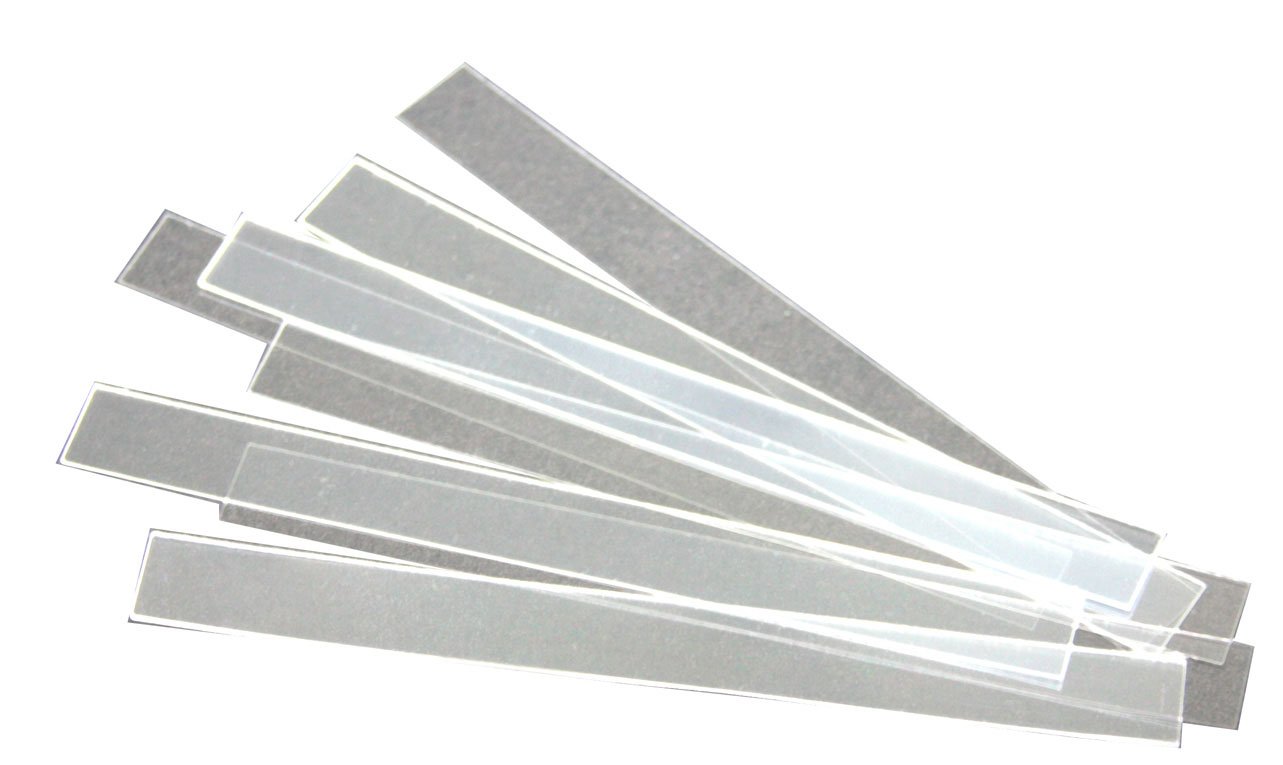 Primo Dental Products MS500 Mylar Matrix Strips, 4" Long x 3/8" Wide (Pack of 500) : Amazon.in ...