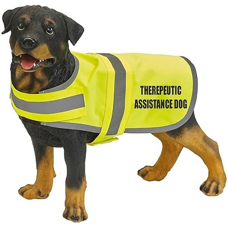 Personalised High Vis Dog Coat Vest Pet Puppy Safety Hi Viz Custom ...