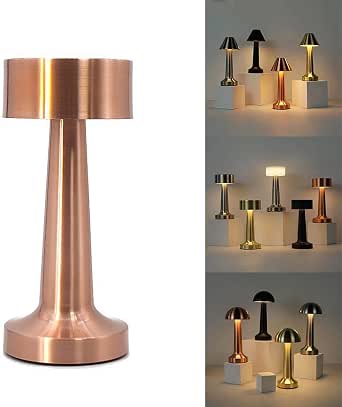 TAME LED Touch Table Lamp, Rechargeable Cordless Table Lamp, 1800mAh ...