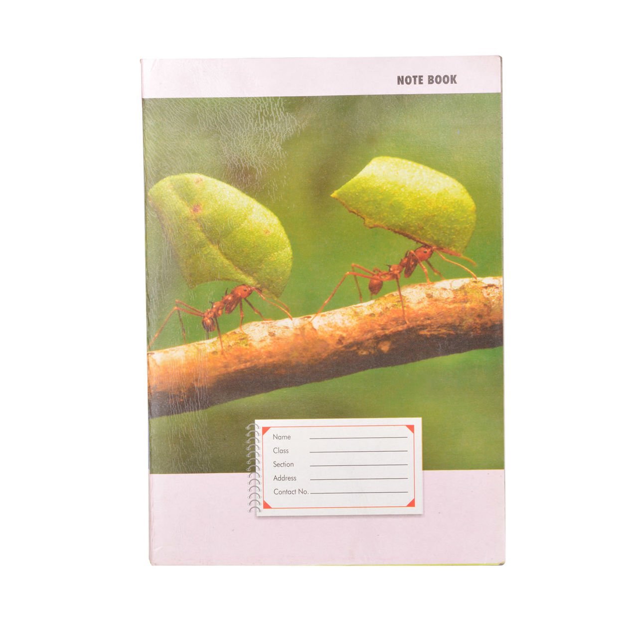 padmavati Note book : Amazon.in: Office Products