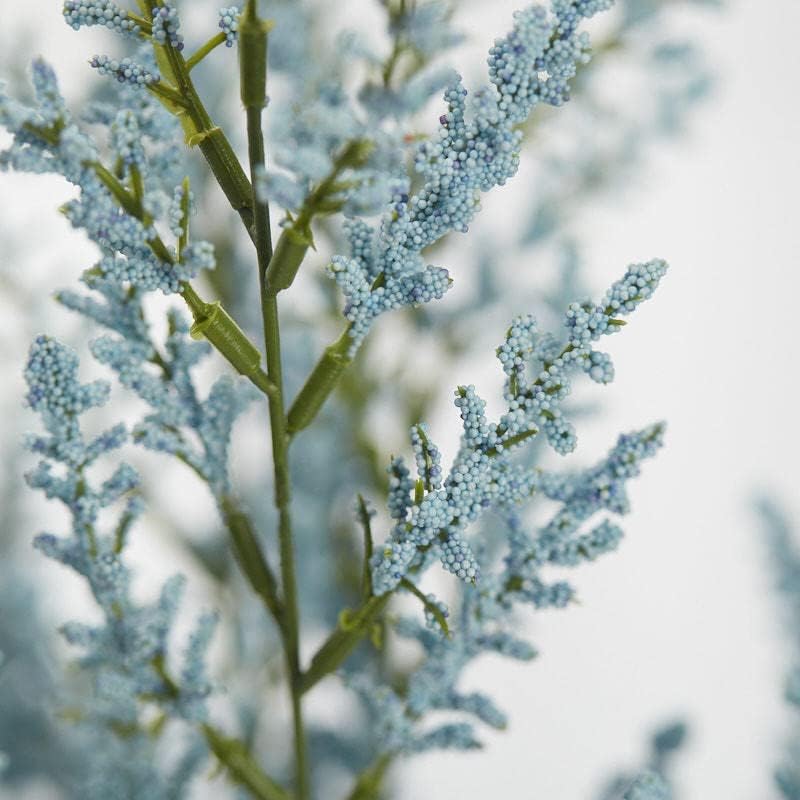 Blue Heather Flower InBloom Heather Dark Beauty.jpg