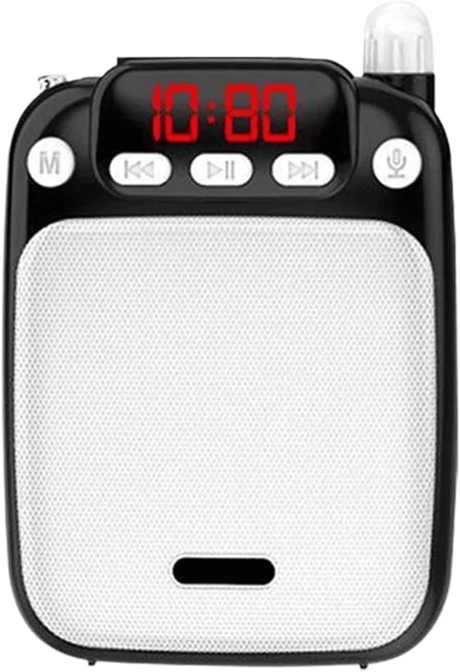 Amazon.com: DFHBFG Voice Amplifier Multifunctional Portable Voice ...