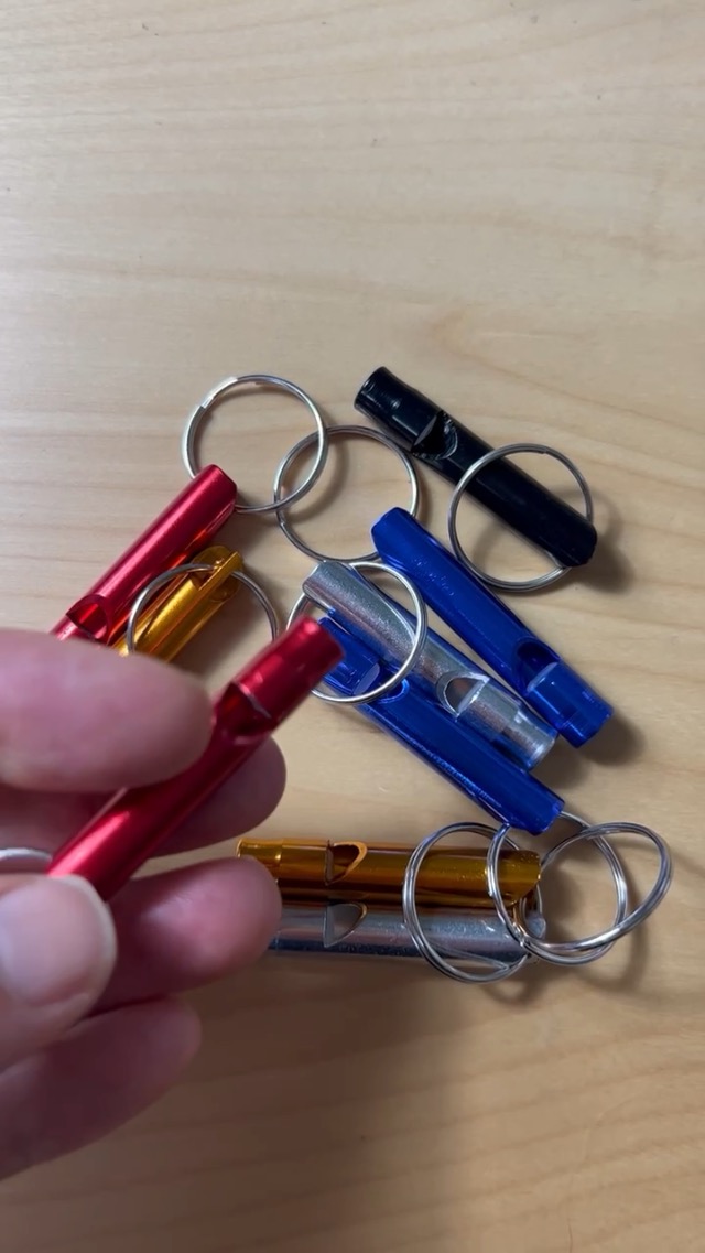 Watch Why I like these Ergonflow Set of 12 Whistles on Amazon Live
