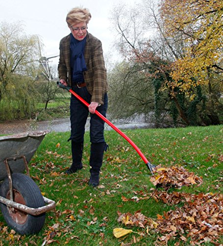 Golden Gark XXL (3-in-1 Rake Rake Shovel, Leaf Rake Multifunctional ...